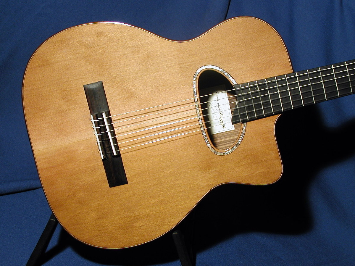 Nylon string gypsy guitar